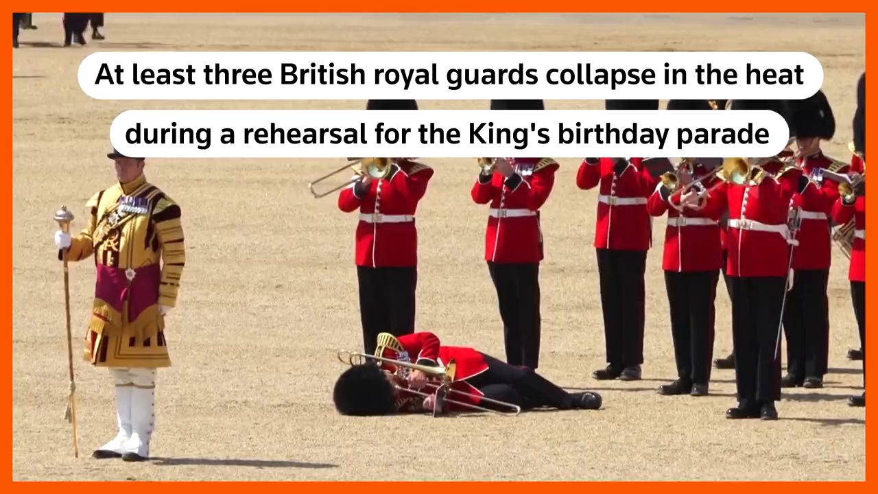 At least three British royal guards collapsed - London Daily