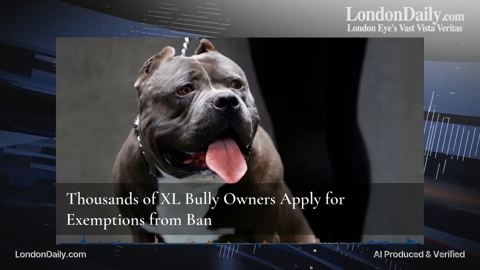 Thousands of XL Bully Owners Apply for Exemptions from Ban - London Daily