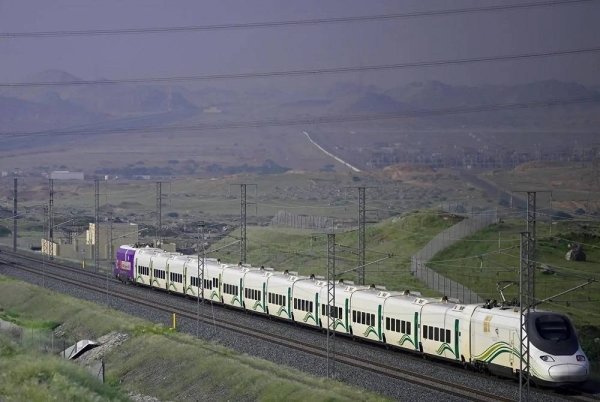 Makkah region's greenery expands by 600% in five months - Saudi Press