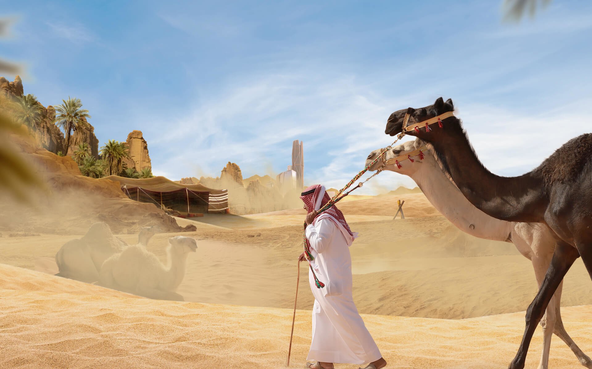 Arab-Camel Connection: A Tale of Endurance - Saudi Press