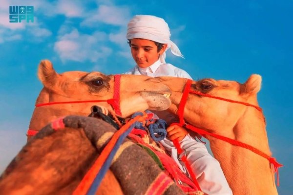 Arab-Camel Connection: A Tale of Endurance - Saudi Press