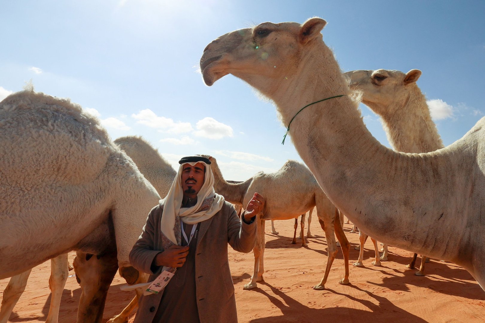 Arab-Camel Connection: A Tale of Endurance - Saudi Press