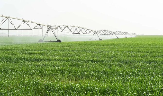 Saudi Environment Photo & Video Contest: Showcase the Kingdom's Natural ...