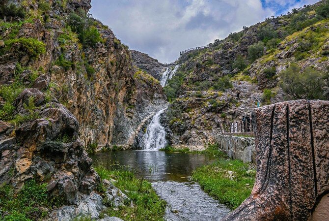 Saudi Arabia's Environment Week 2024: Celebrating Leadership in ...
