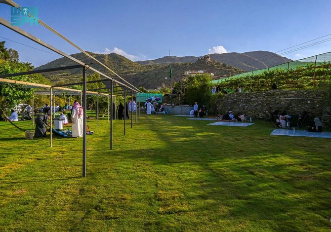 Young Farmer in Al-Mandaq Governorate Transforms Passion into Thriving ...