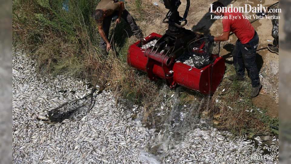 Volos Declares State of Emergency Due to Massive Fish Die-Off - London ...
