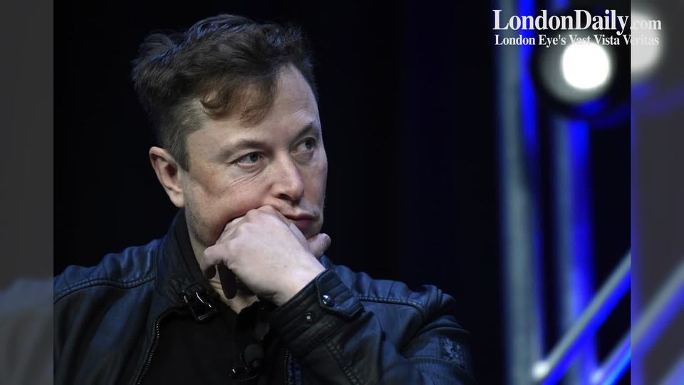 Elon Musk Accuses Brazilian Supreme Court Justice of Election ...