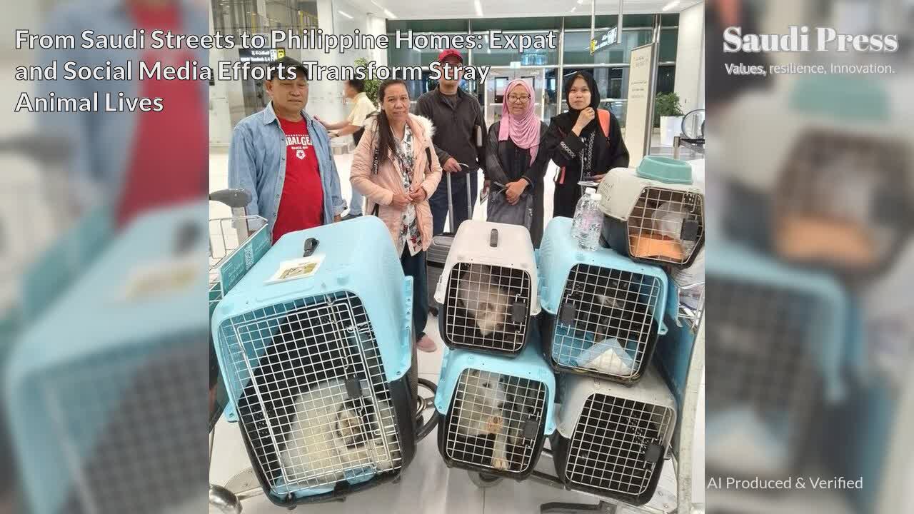 Heartwarming Rescue: Saudi Stray Cats and Dogs Find New Homes in the ...