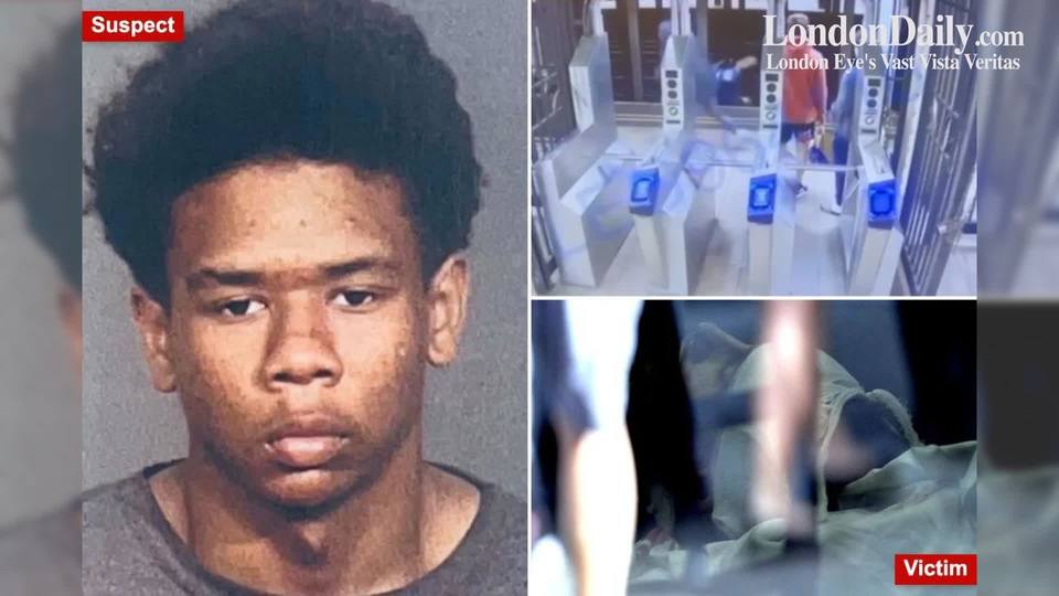 Lunatic Man Charged with Attempted Murder After Pushing Commuter onto ...