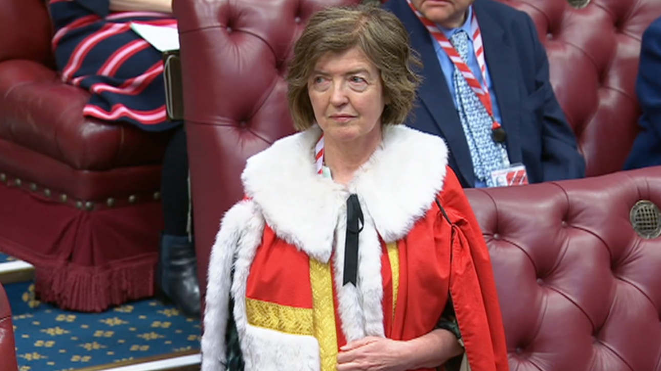 Sue Gray Introduced as Baroness Gray of Tottenham in the House of Lords ...