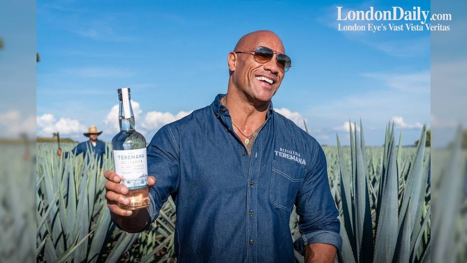 Tequila Sector Faces Surplus Crisis as Agave Prices Dive Sharply ...