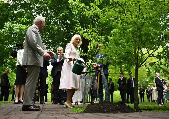 Study Finds Planting Trees Alone Inadequate to Offset Fossil Fuel ...
