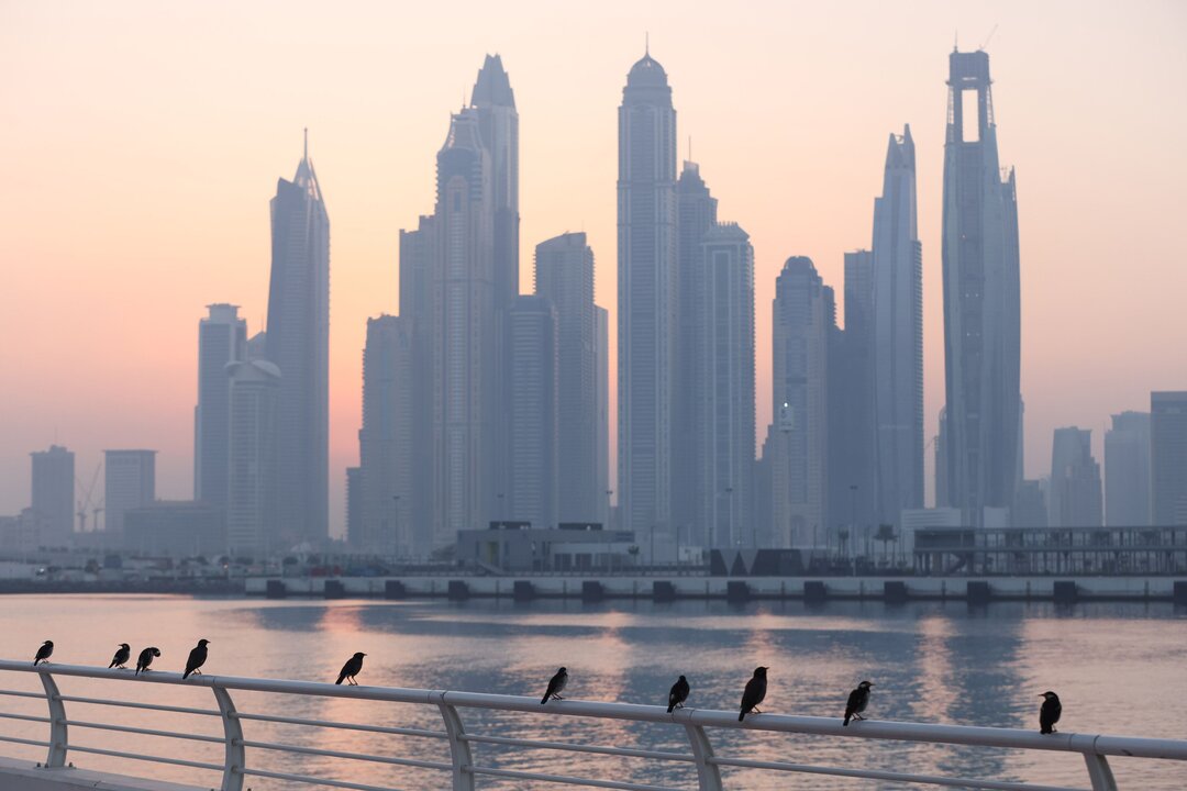 Dubai Regulator Searches Magellan Capital in Ongoing Investigation ...