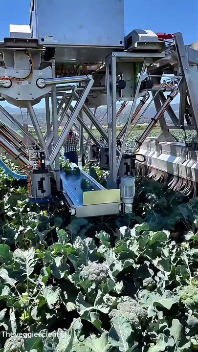 Automation in Agriculture: A Breakthrough with Robotic Harvesters ...